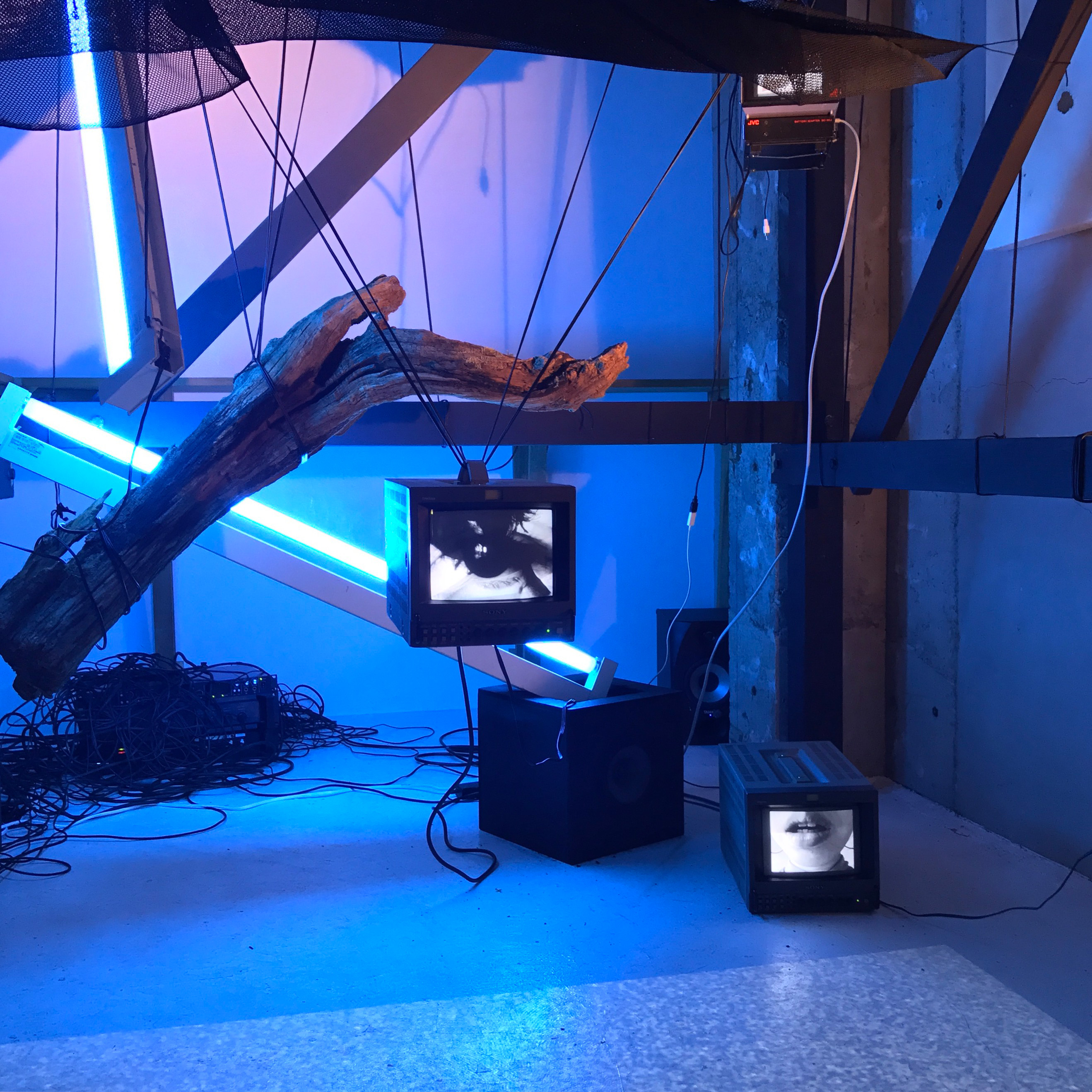 No Need Necessary I. - NNNI